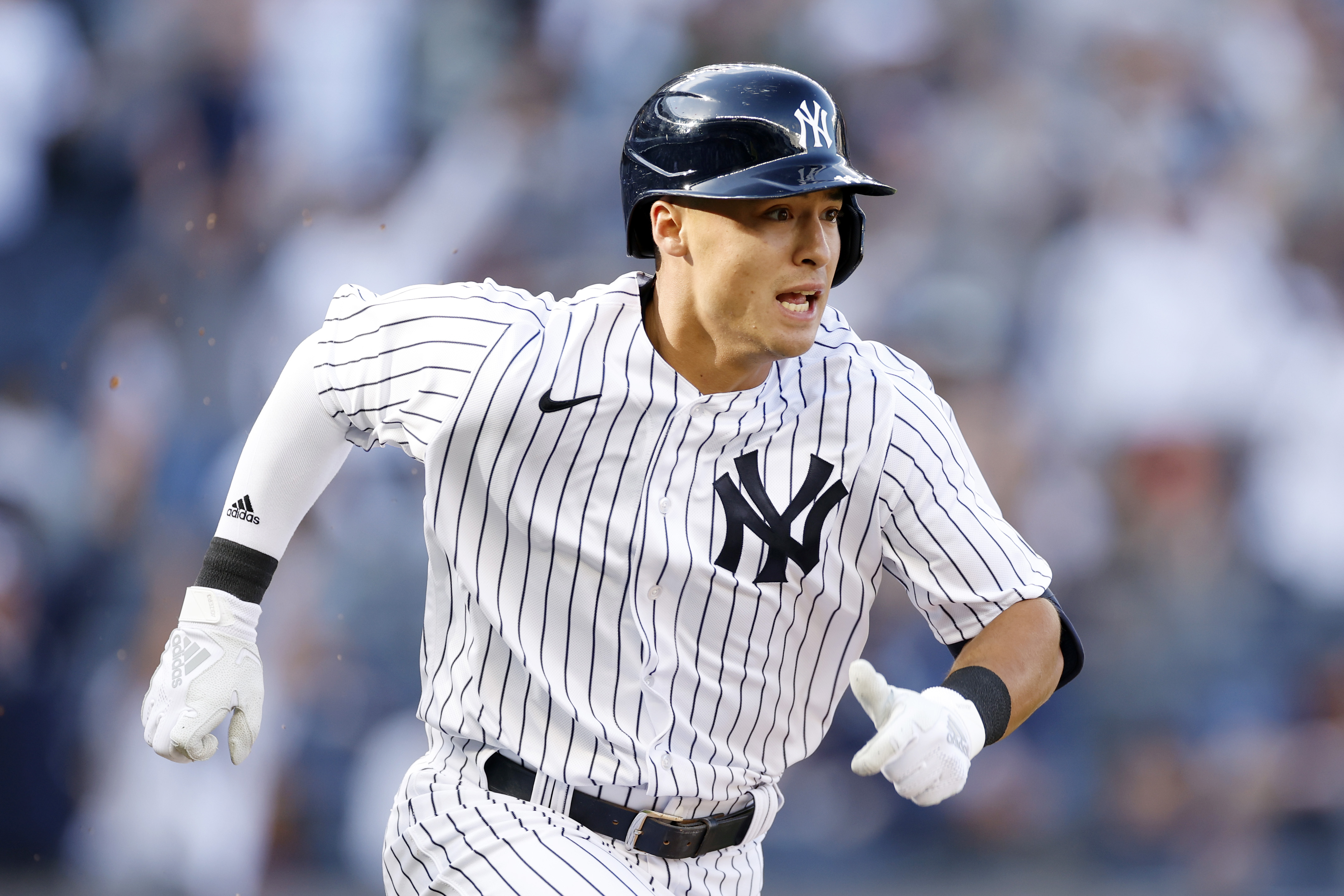 Ny Yankees Roster 2025 Tisha Corabel